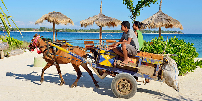 Komodo & the Australian Coast - Bali to Sydney - Cruise Overview